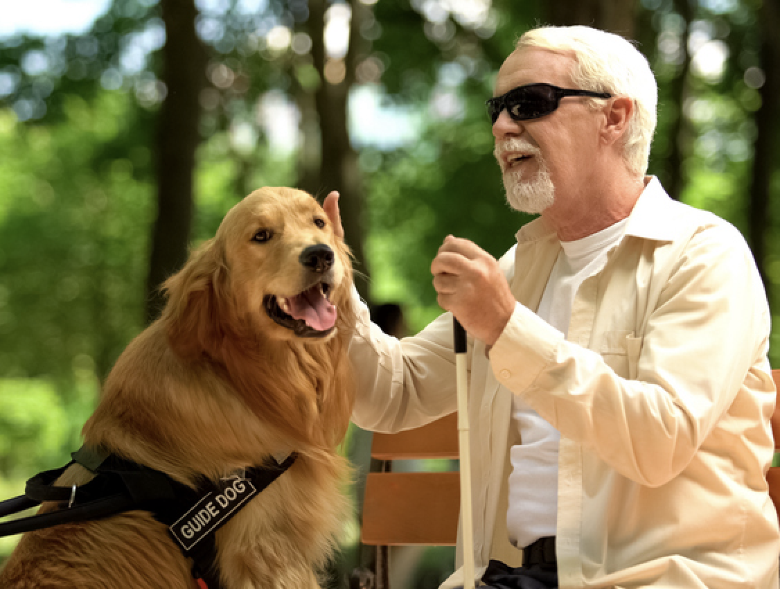 The ADA At 35: Before, During, and Hopes for the Future By Katherine ...